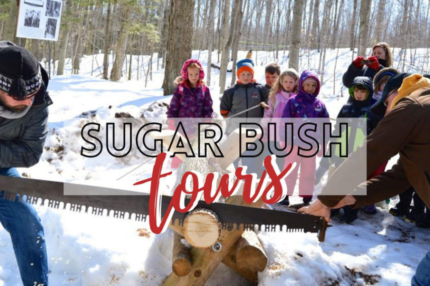 Blyth Creek Maple Farm Sugar Bush Tours