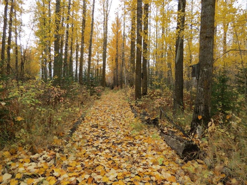 Must Visit Nature Attractions In And Around Edmonton