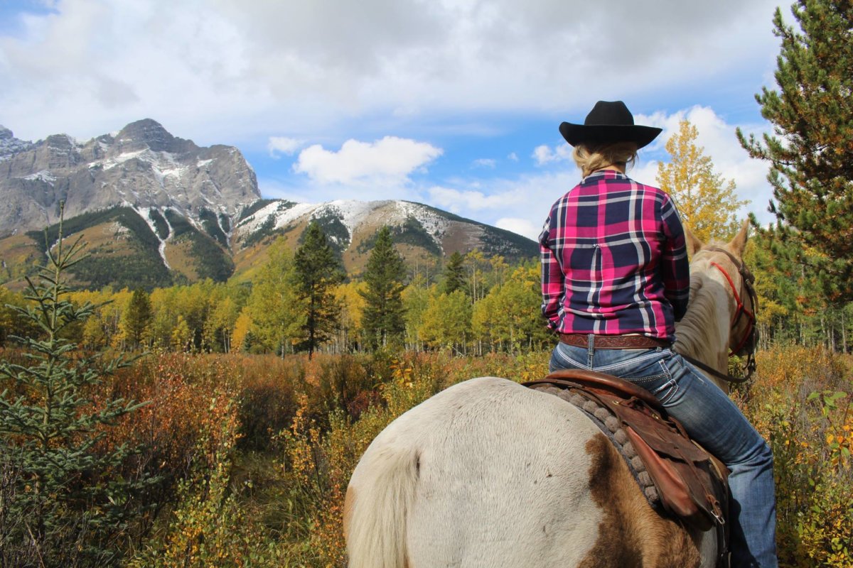 25 Fall Day Trips in and Around Calgary
