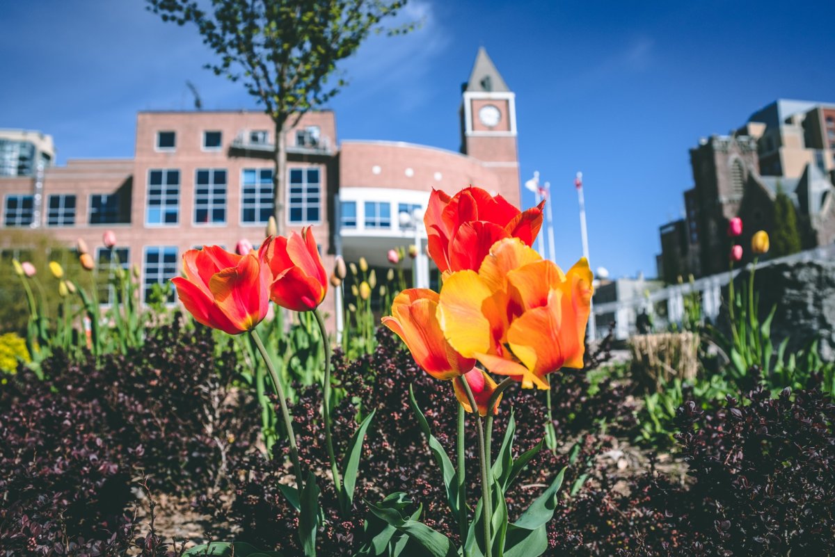 Brampton’s Canada Day Celebrations & Fireworks 2025- Dallas Smith ...