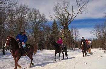 Places to Go For Winter Trail Rides and Sleigh Rides in New Brunswick