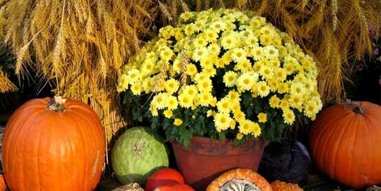 Bruce Mines Fall Fair