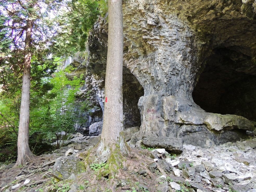More Than Just Willie: Discover Wiarton’s Historic Ruins and Caves This ...