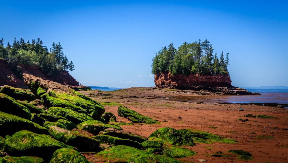 A Day at Burntcoat Head Park: Walk the Ocean Floor at the Place of ...