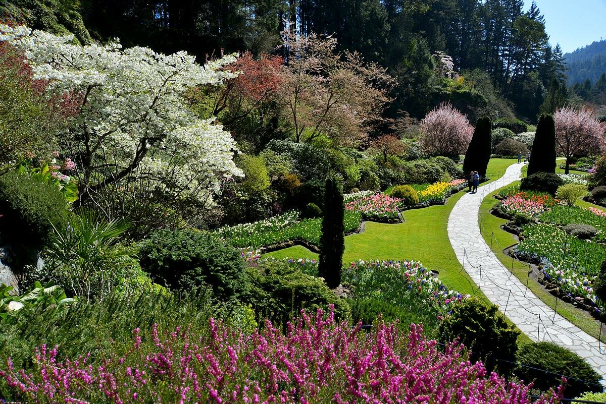 5 Most Beautiful Spring Sights in Canada, According to Tripadvisor ...