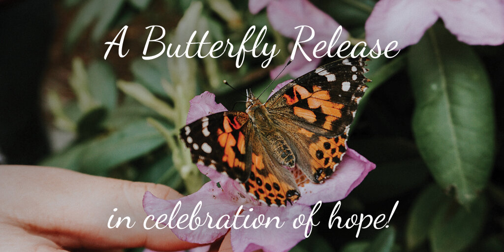 Butterfly Release at Taves Family Farms