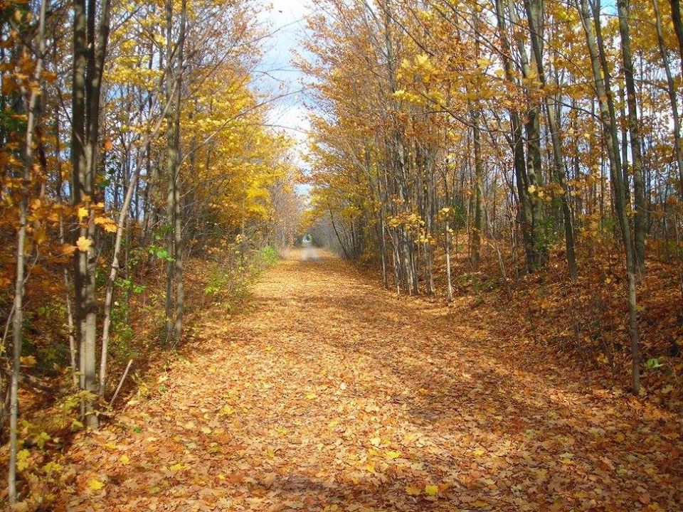 26 of the Best Nature Parks and Hiking Spots in the Halton Region