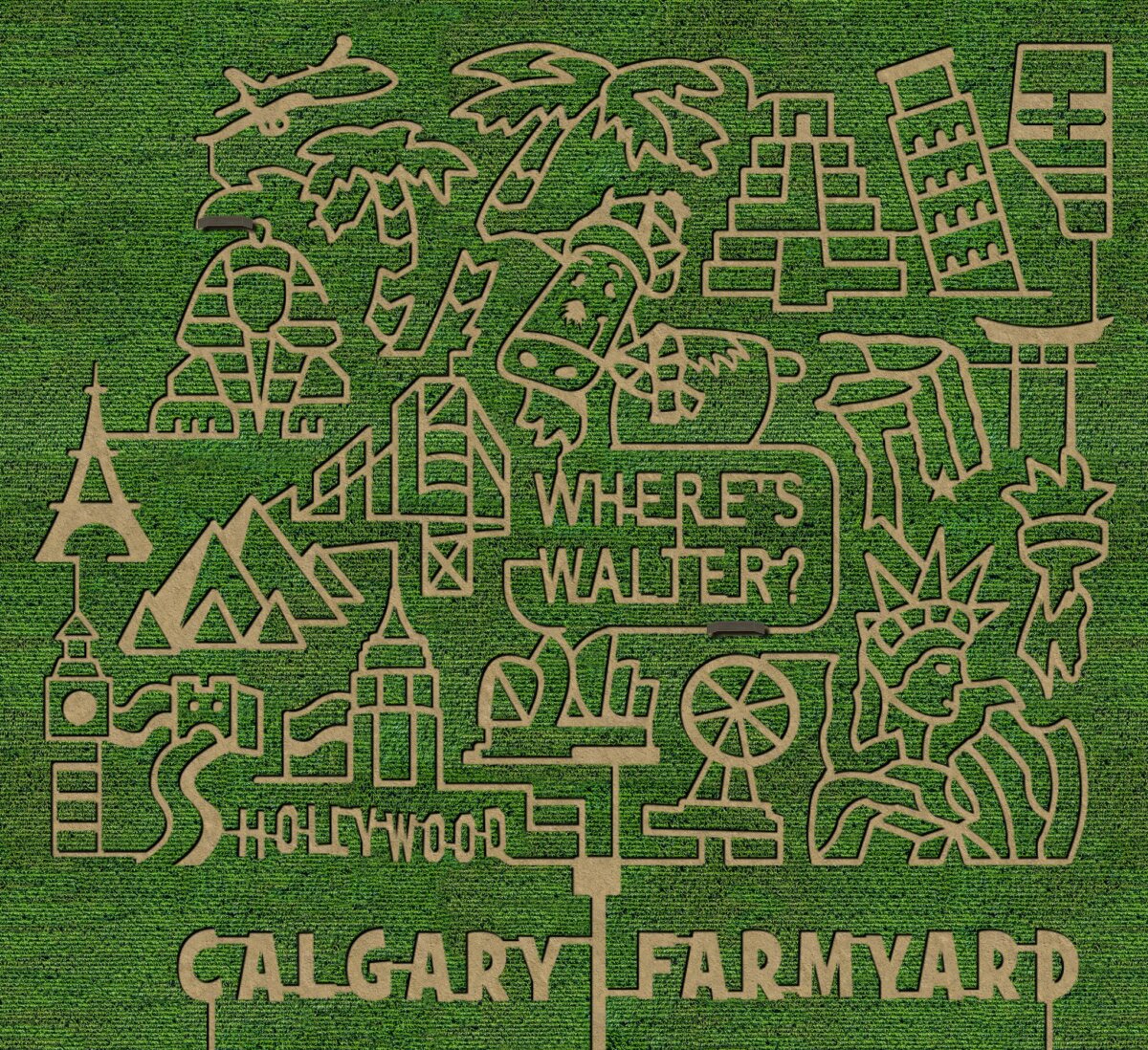 Summer Farm Days at Calgary Farmyard
