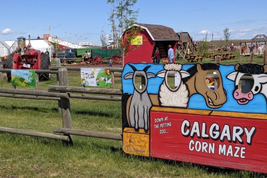 Summer Farm Days at Calgary Farmyard