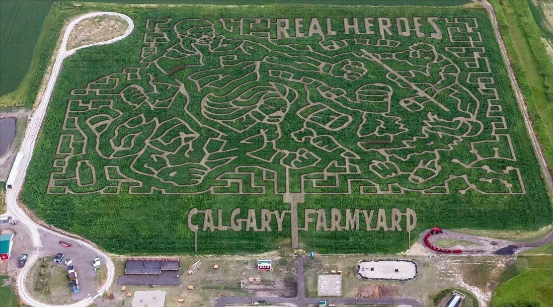 Calgary Farmyard Salutes Frontline Workers Across the Country With ...