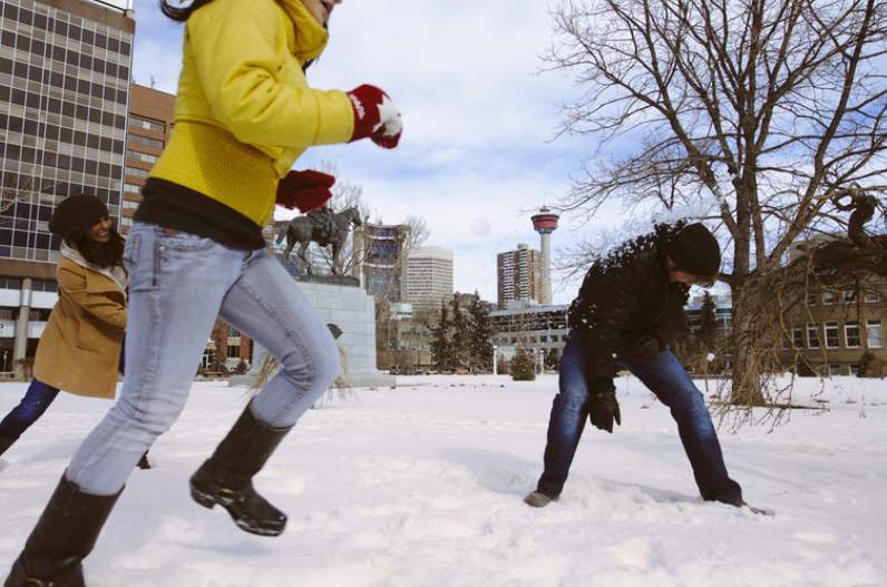 Free Things to Do in Calgary in February 2025