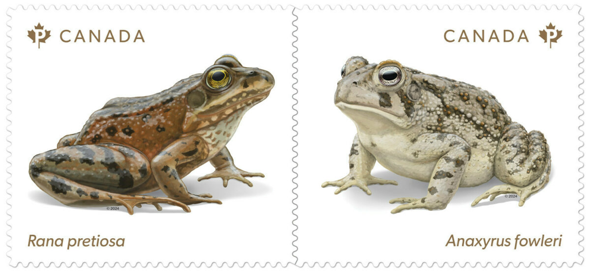Canada Post Highlights Endangered Frogs With New Stamp Series