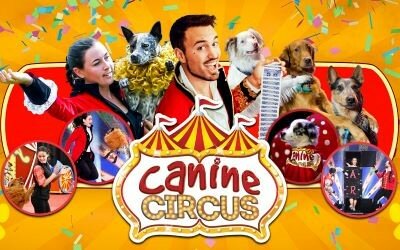 The Canine Circus