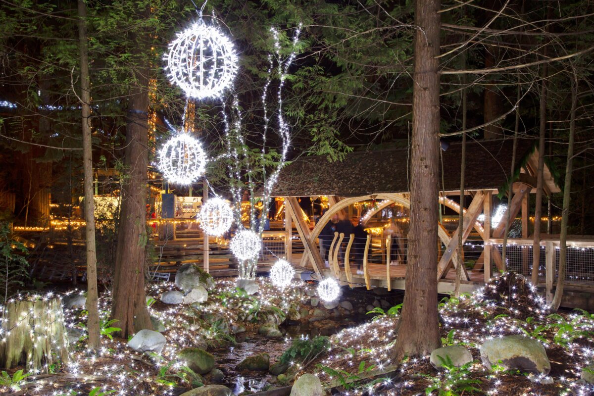 Canyon Lights 2025 – What is New & What to Do When Spectacular Holiday ...