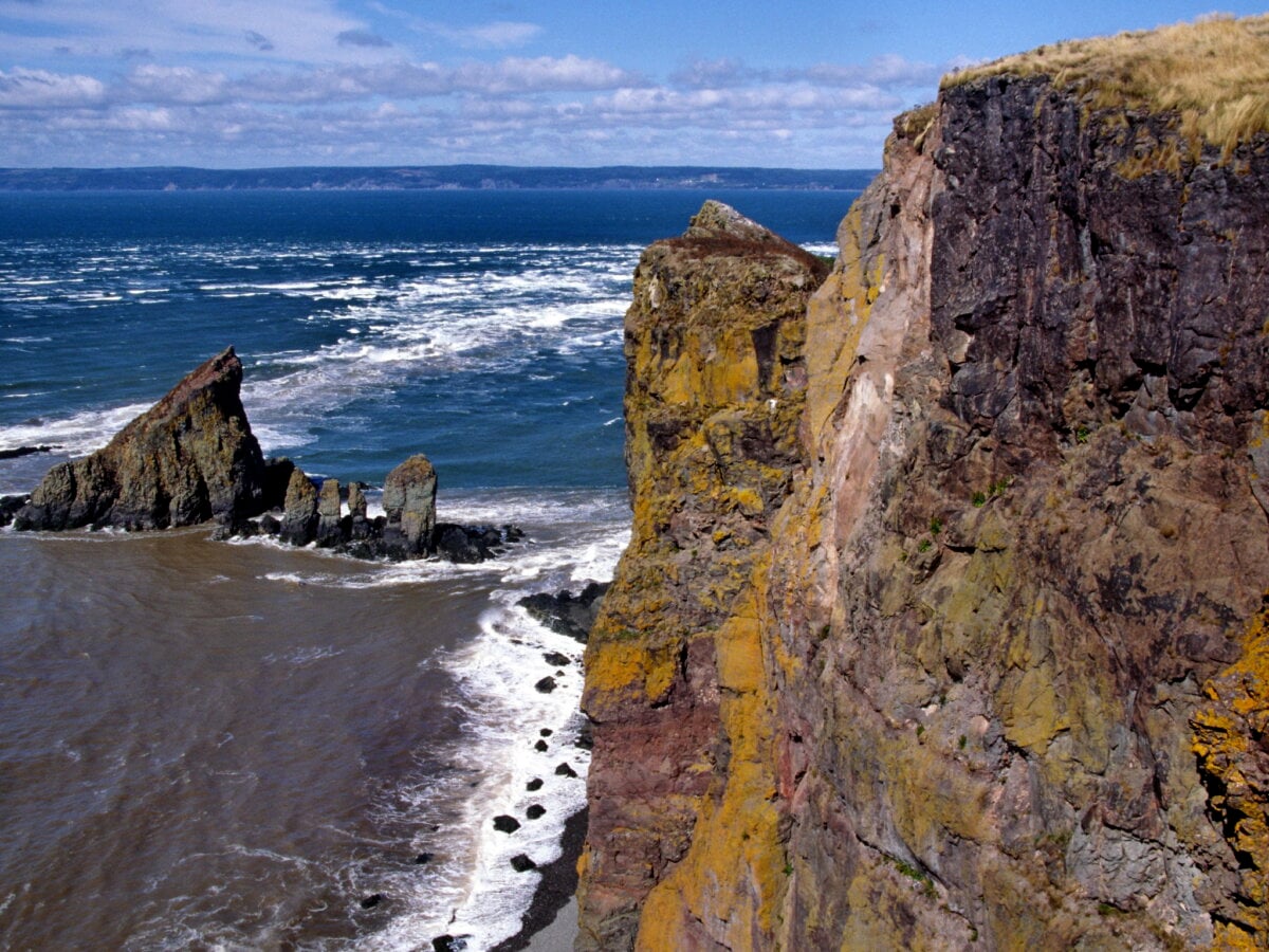 Explore Spectacular Cape Split Provincial Park – From Forest Trails to ...