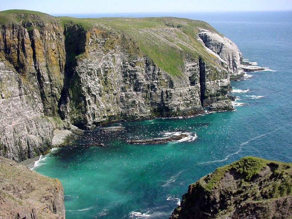 Cape St. Mary’s Ecological Reserve: Make the Best of Your Trip to This ...