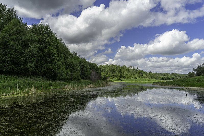 Chickakoo Lake Regional Recreation Area: 5 Things to Do on a Day Trip From Edmonton