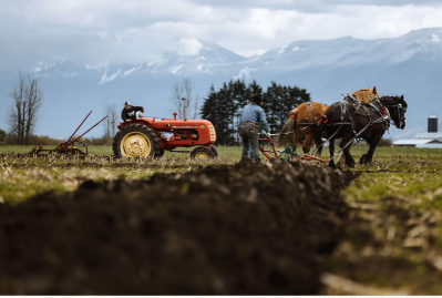 Chilliwack Plowing Match