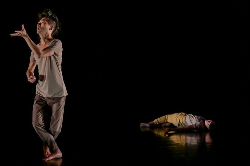 Chimerik Studio Showing