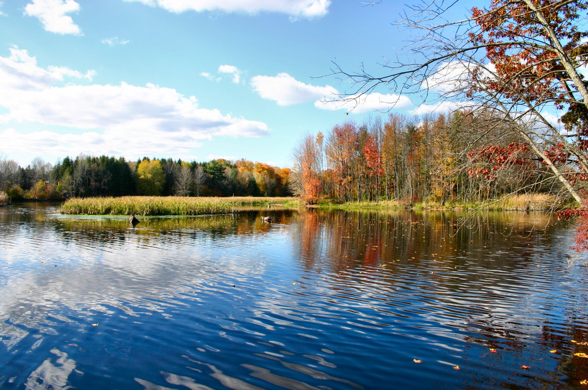 25 Must Visit Nature Attractions and Parks in Hamilton