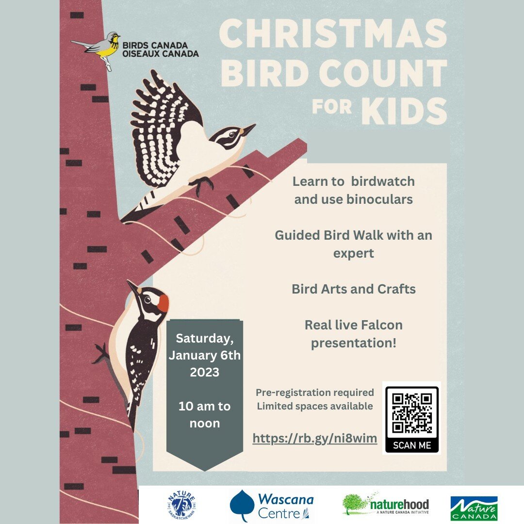 Christmas Bird Count for Kids
