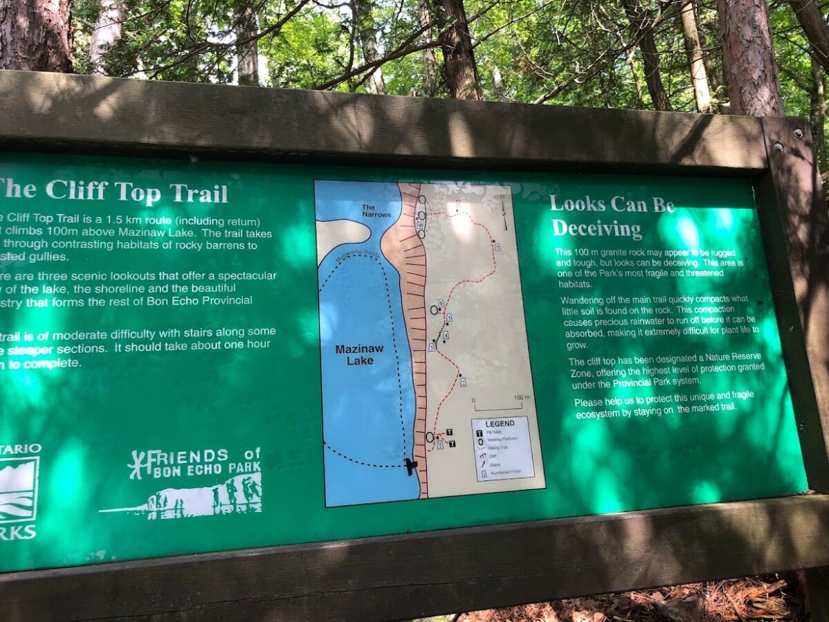 Cliff Top Trail & Scenic Lookouts: Climb to the Top of Mazinaw Rock at ...