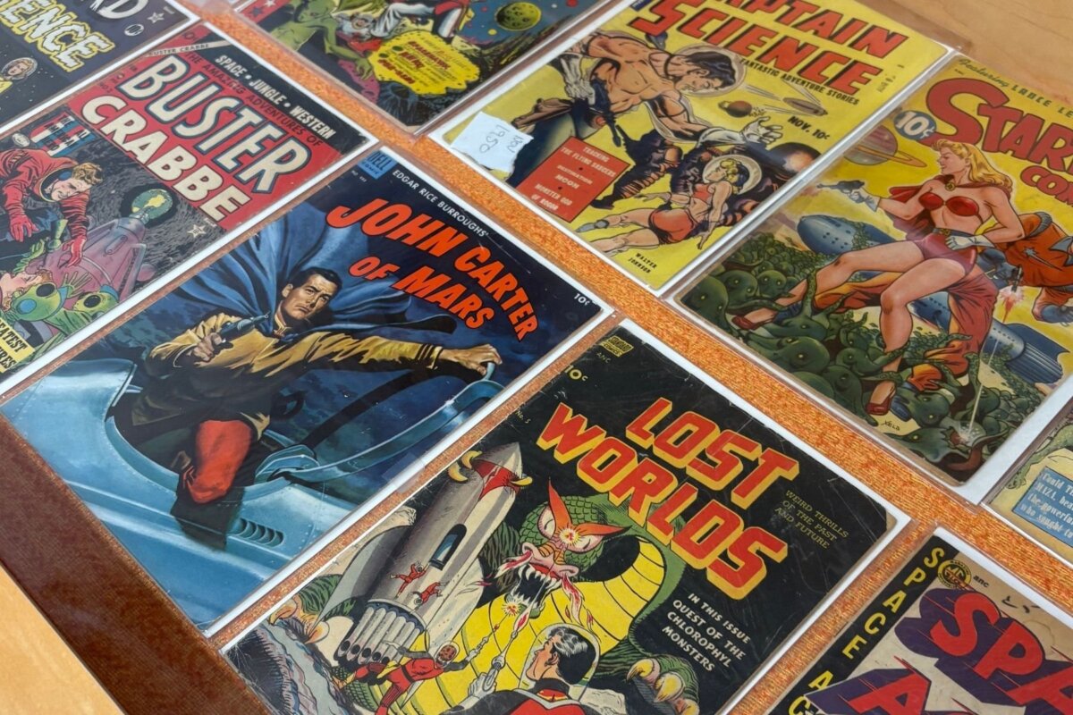 Coquitlam Heritage Comic Sale