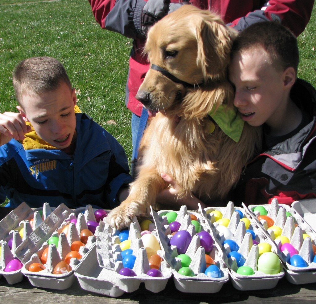 Easter Egg Hunt for Dogs (and their families)