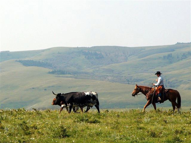 Essential Guide to Summer Day Trips From Calgary – 100+ Day Trip Ideas