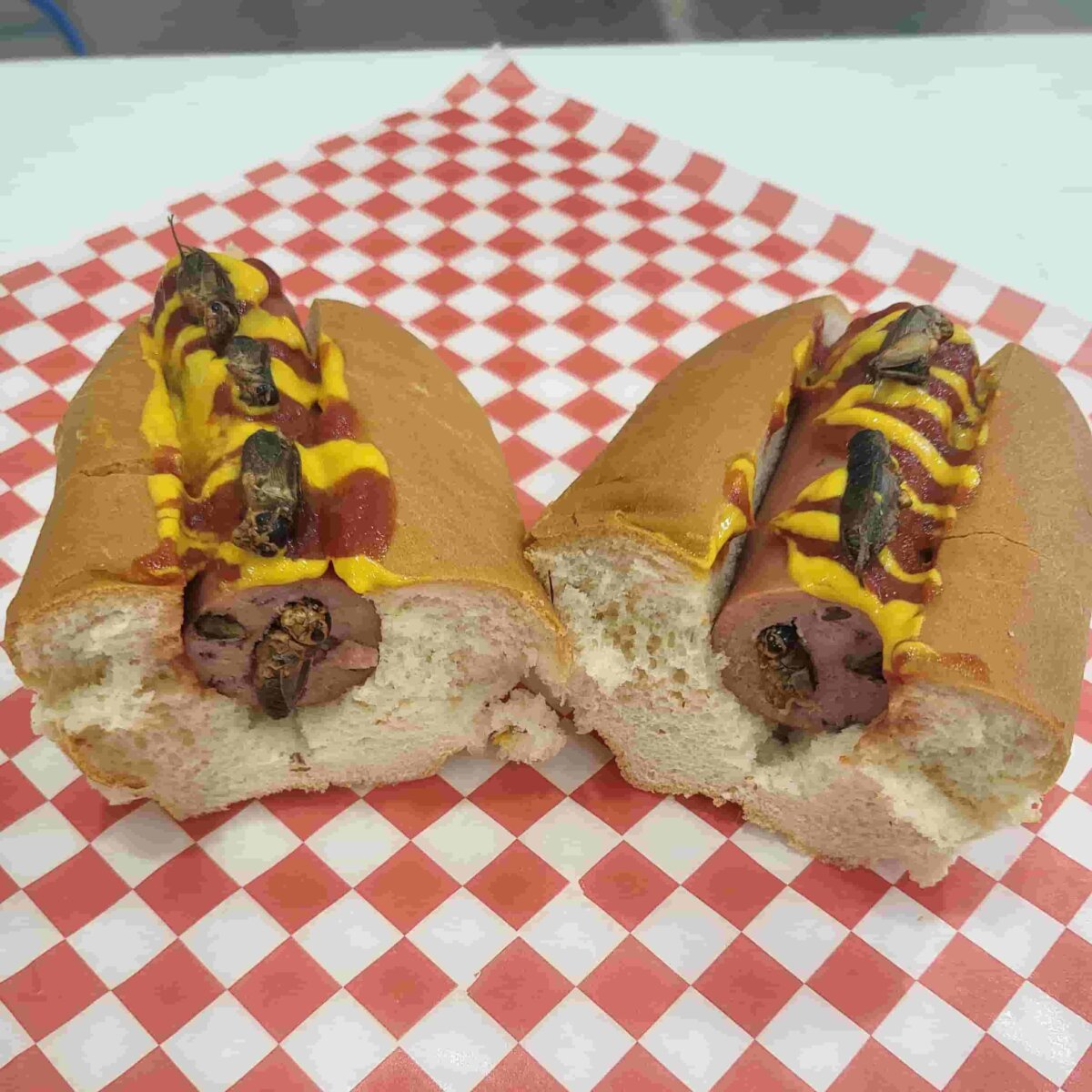 40 New Wacky Midway Foods You Can Savour at 2022 Calgary Stampede