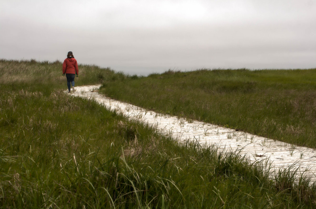 Top Things to Do Outdoors this Summer in and Around Shelburne