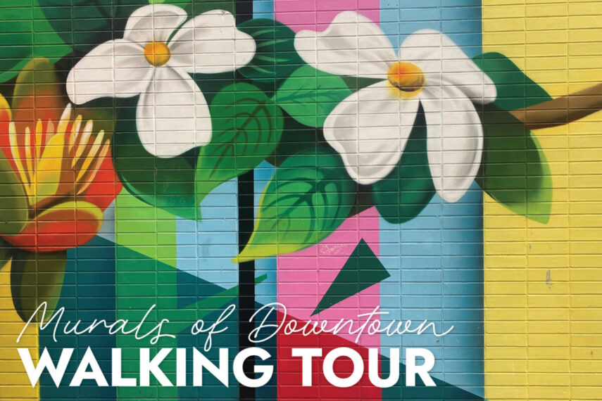 Culture Walk: Murals of Downtown