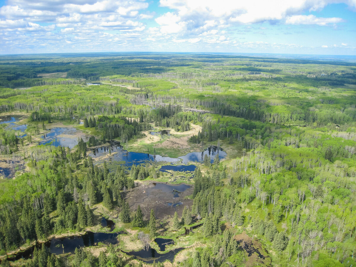 Manitoba Designates Moswa Meadows and Fish Lake Fen as Provincially ...