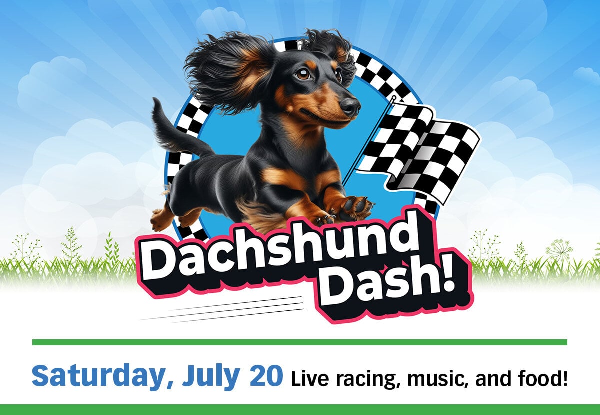 Dachshund Dash