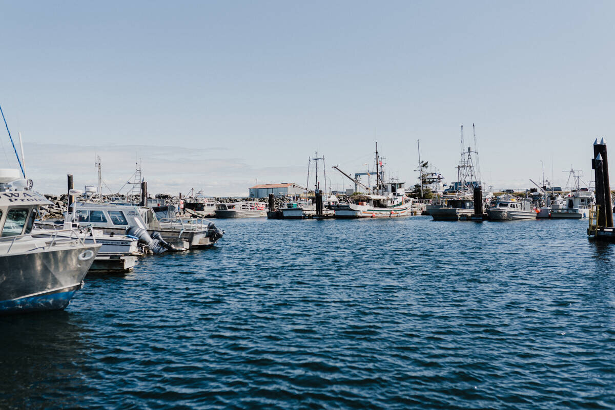 Discover Port McNeill: Gateway to Breathtaking Northern Vancouver ...