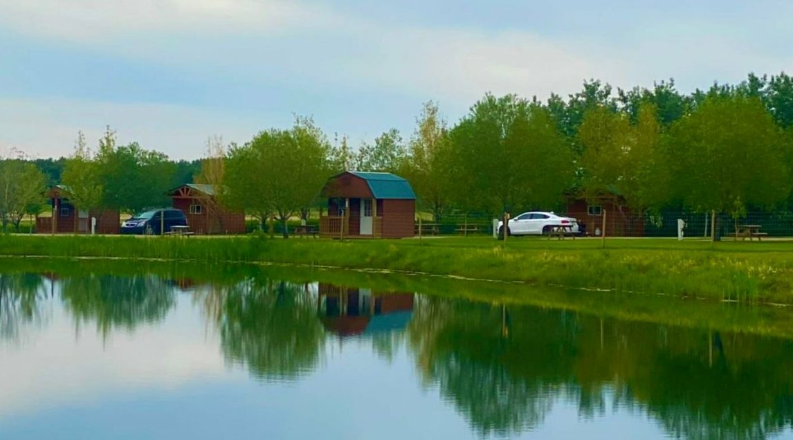 Discovery Wildlife: Stay Overnight or Explore This Wildlife Sanctuary ...