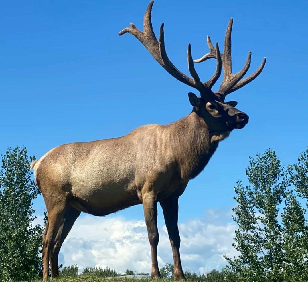 Discovery Wildlife: Stay Overnight or Explore This Wildlife Sanctuary ...