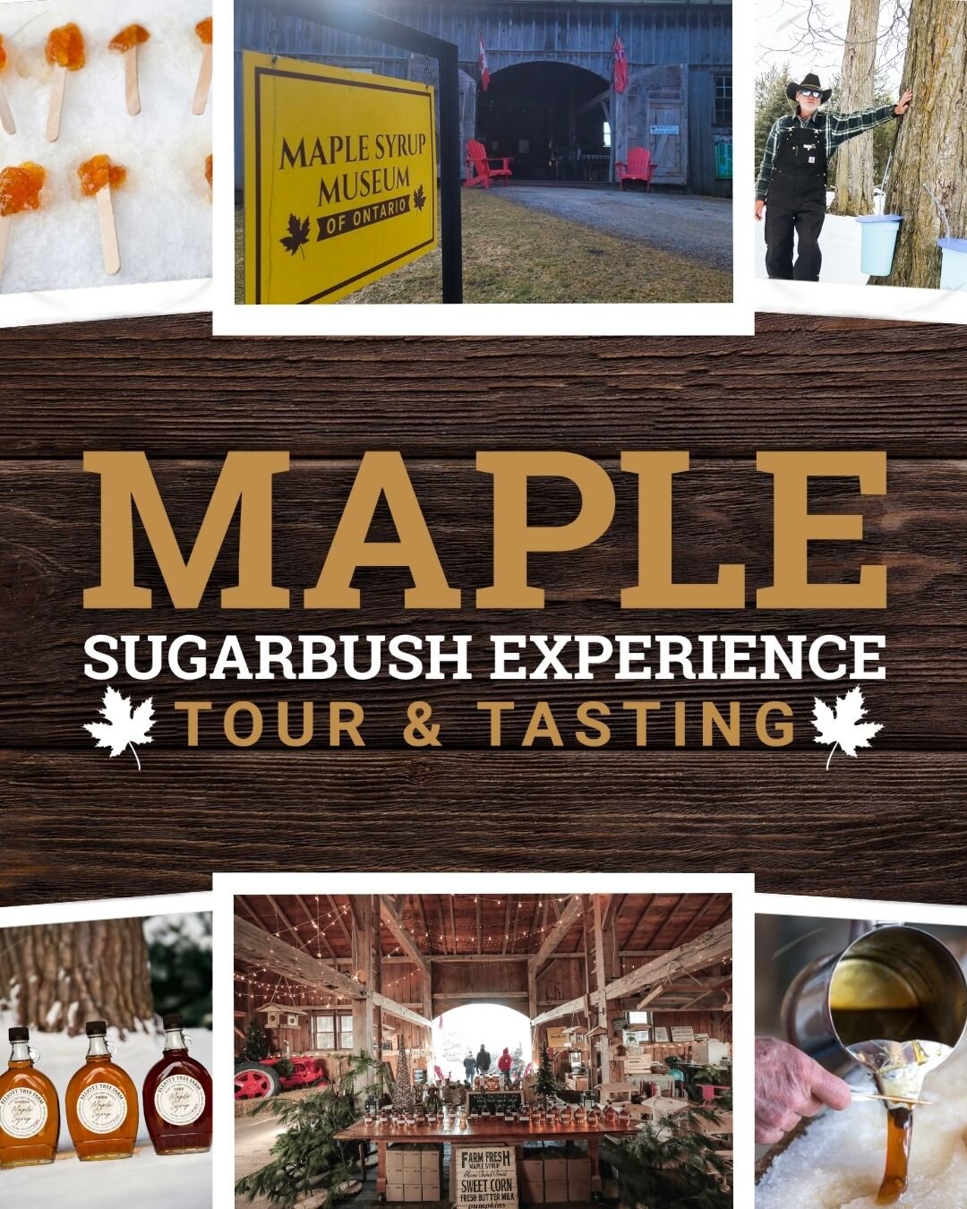 2025 Weekend Maple Sugarbush Experience Tour and Tasting