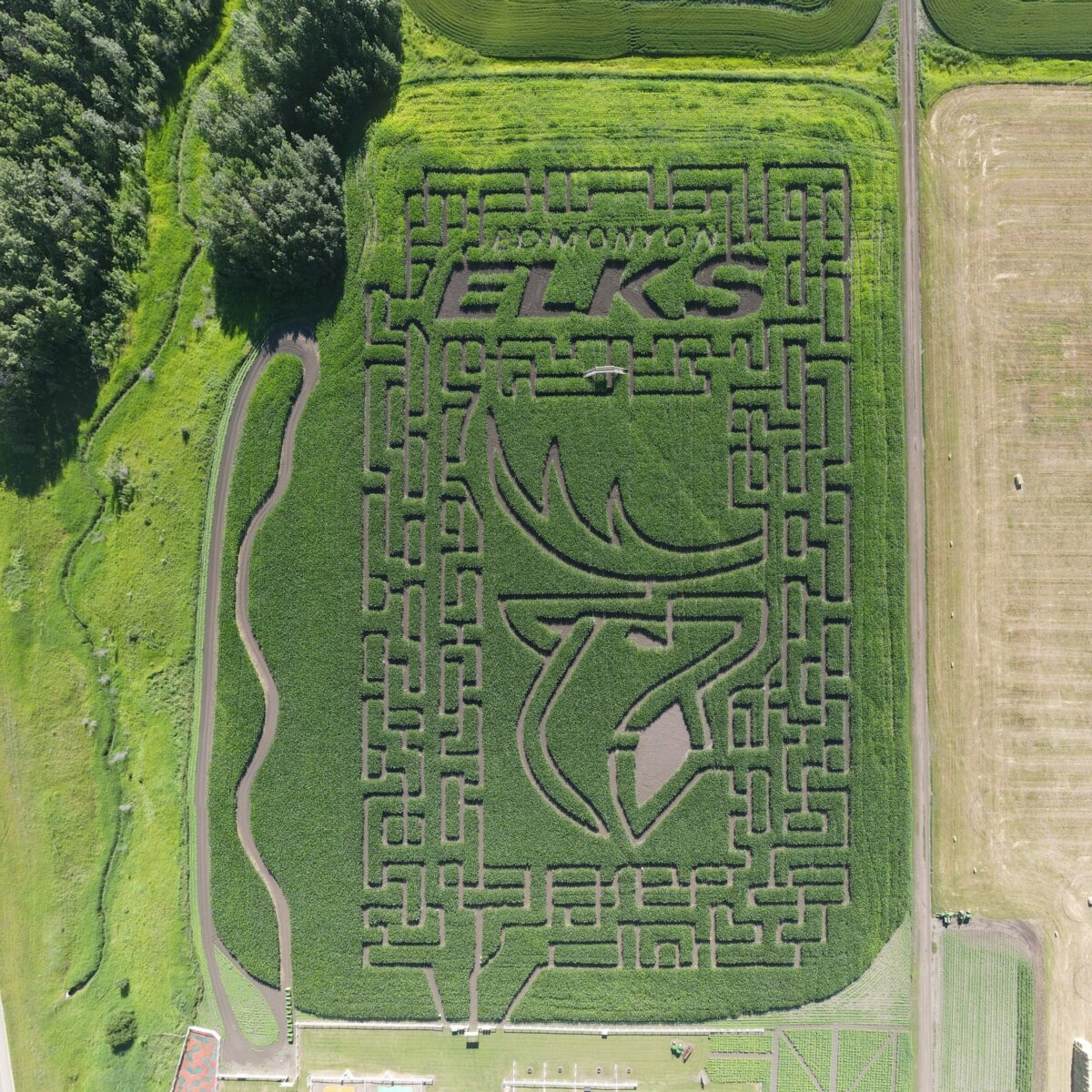 Edmonton Corn Maze is Back With Edmonton Elks Themed Maze in 2022