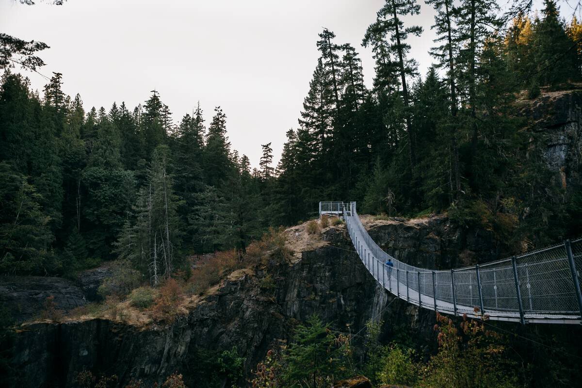 Elk Falls Provincial Park: Waterfalls, Suspension Bridge and More to ...
