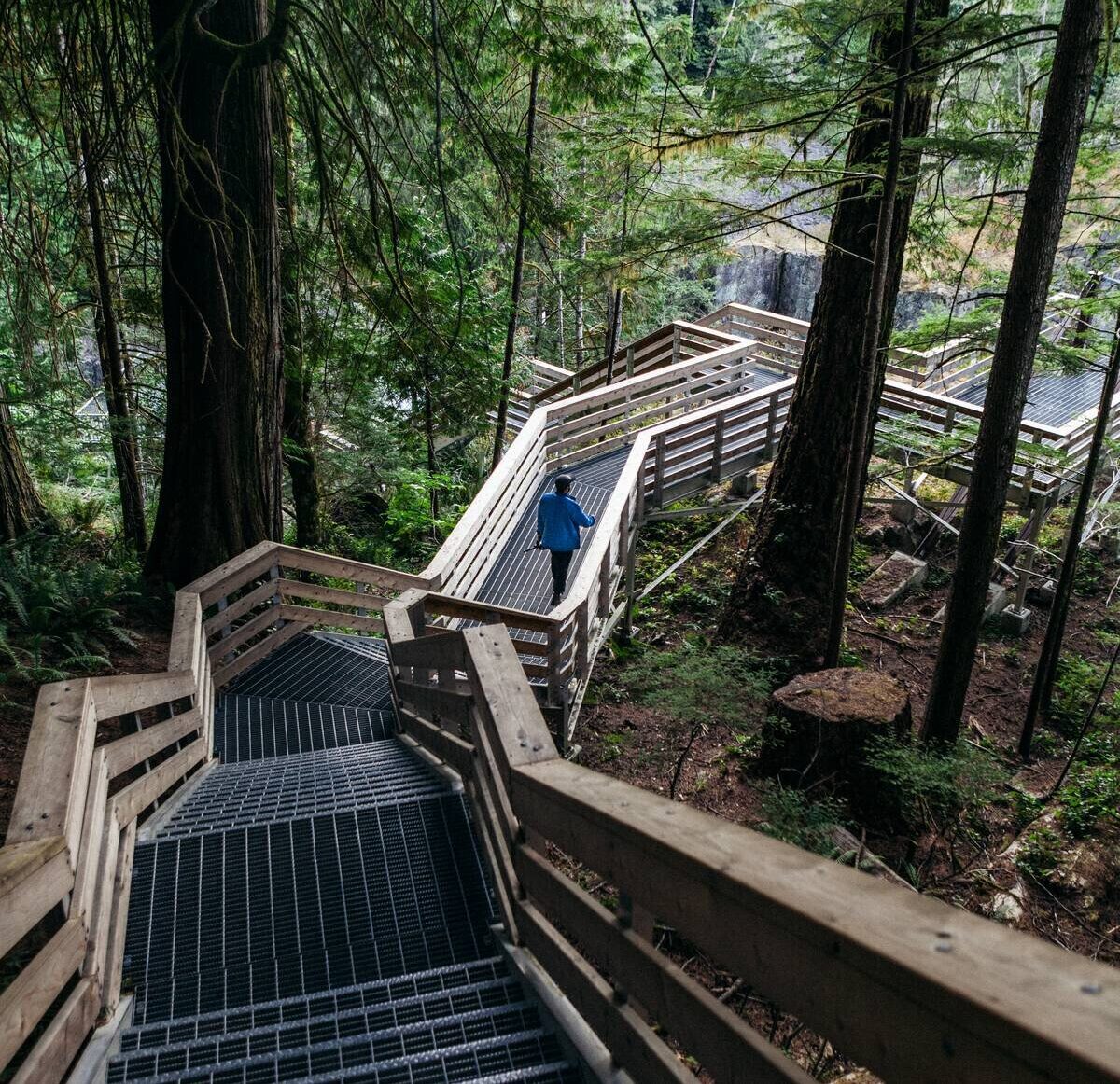 Elk Falls Provincial Park: Waterfalls, Suspension Bridge and More to ...