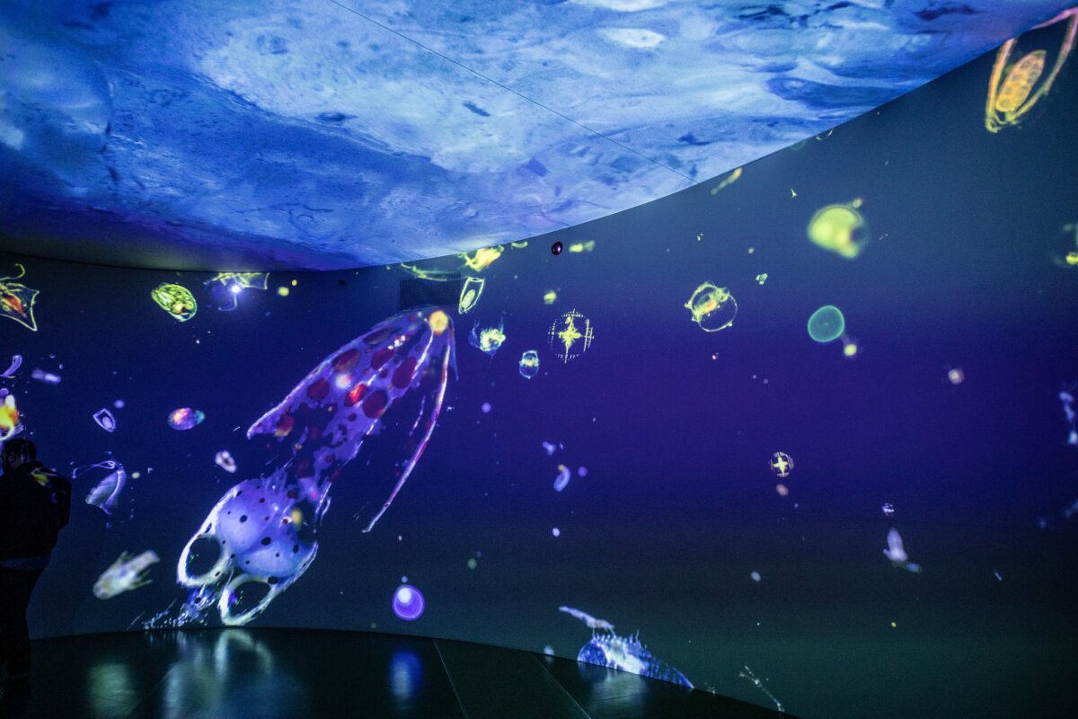 This Stunning Exhibition in Saskatoon Will Take You on an Immersive ...