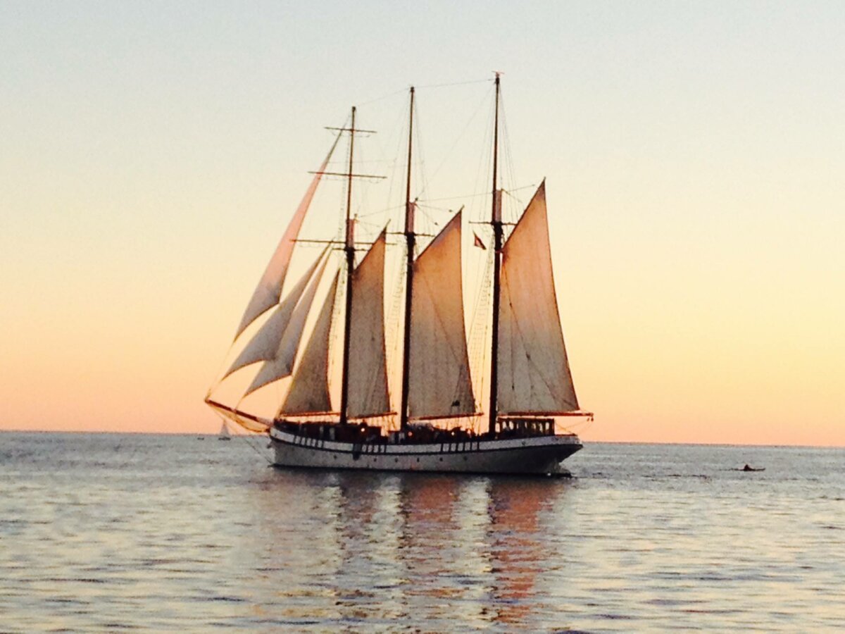 Water Adventures in Toronto: Cruises, Guided Tours, Waterbikes, Glow-in ...