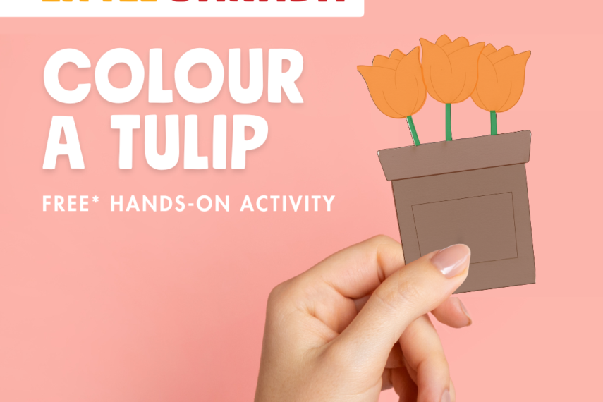 Colour a Tulip Activity