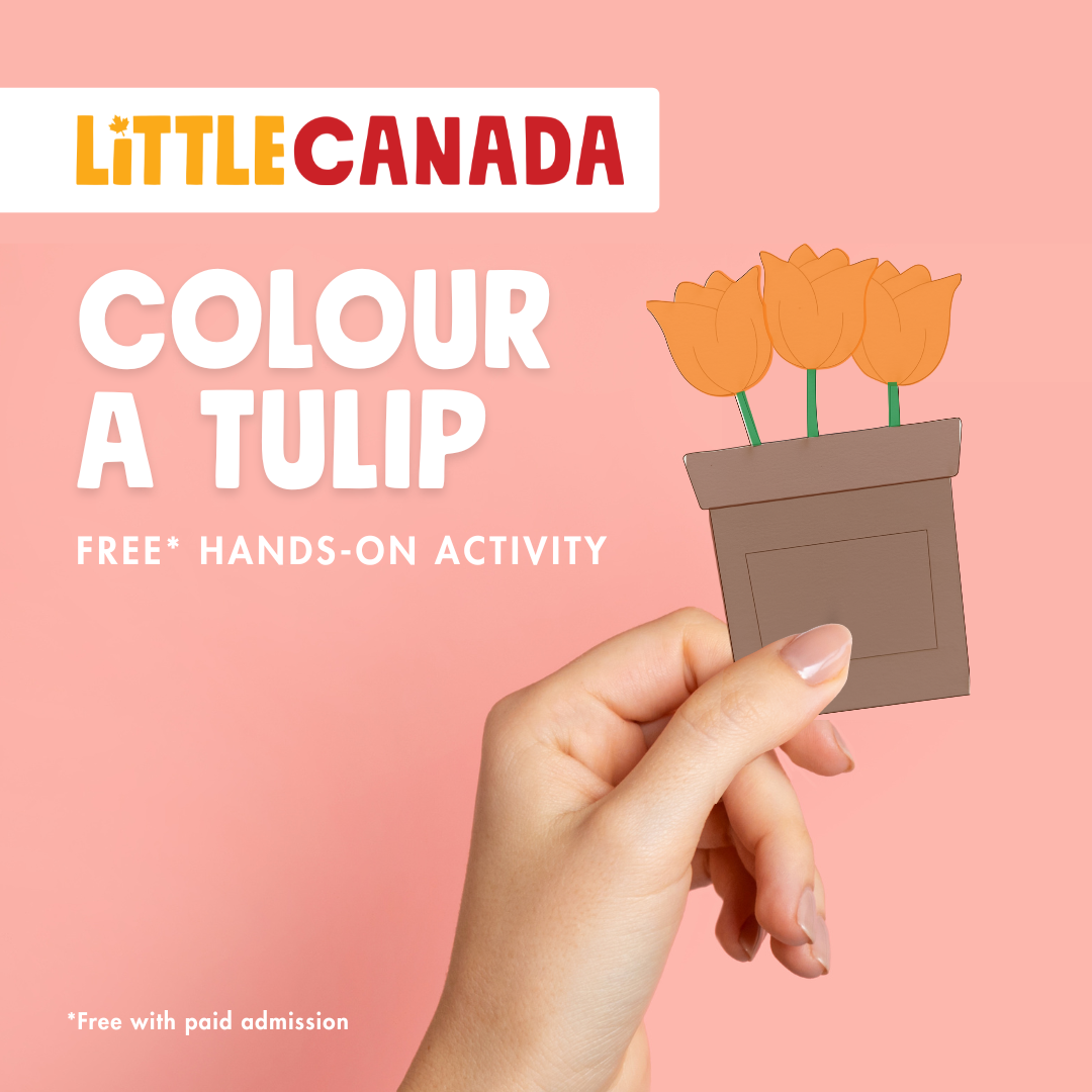 Colour a Tulip Activity