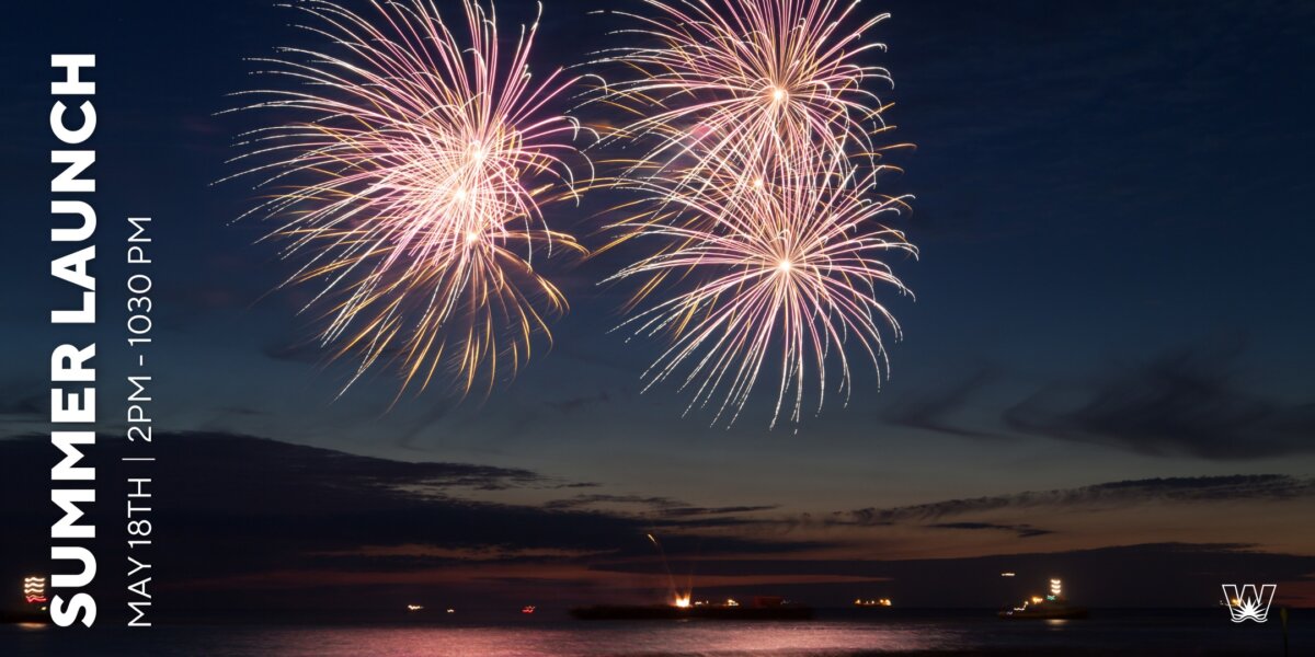 Summer Launch – Fireworks