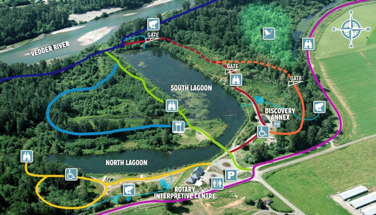 Day Trip to Great Blue Heron Nature Reserve in Chilliwack: Top Things ...