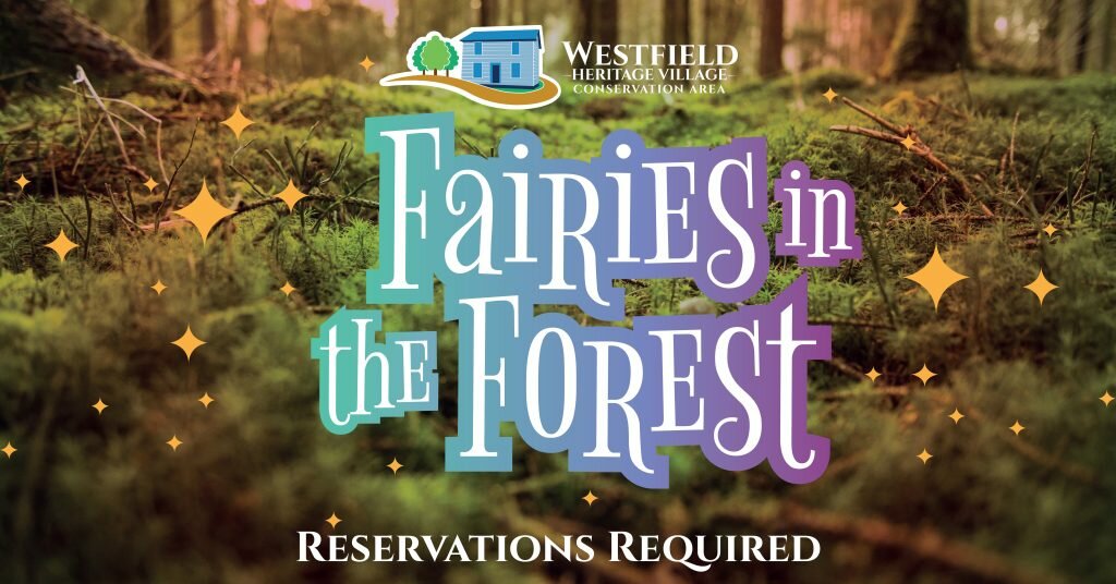 Fairies in the Forest