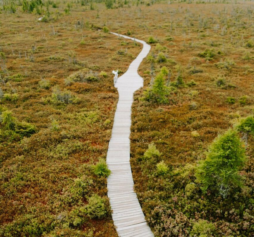 Top Reasons For a Fall Visit to Kouchibouguac National Park in New ...