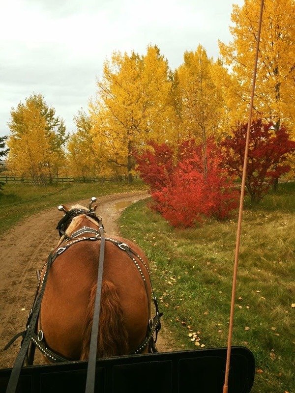 25 Fall Day Trips in and Around Edmonton